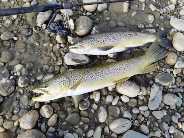 Fishing for food - Grow, gather, fish and hunt good food