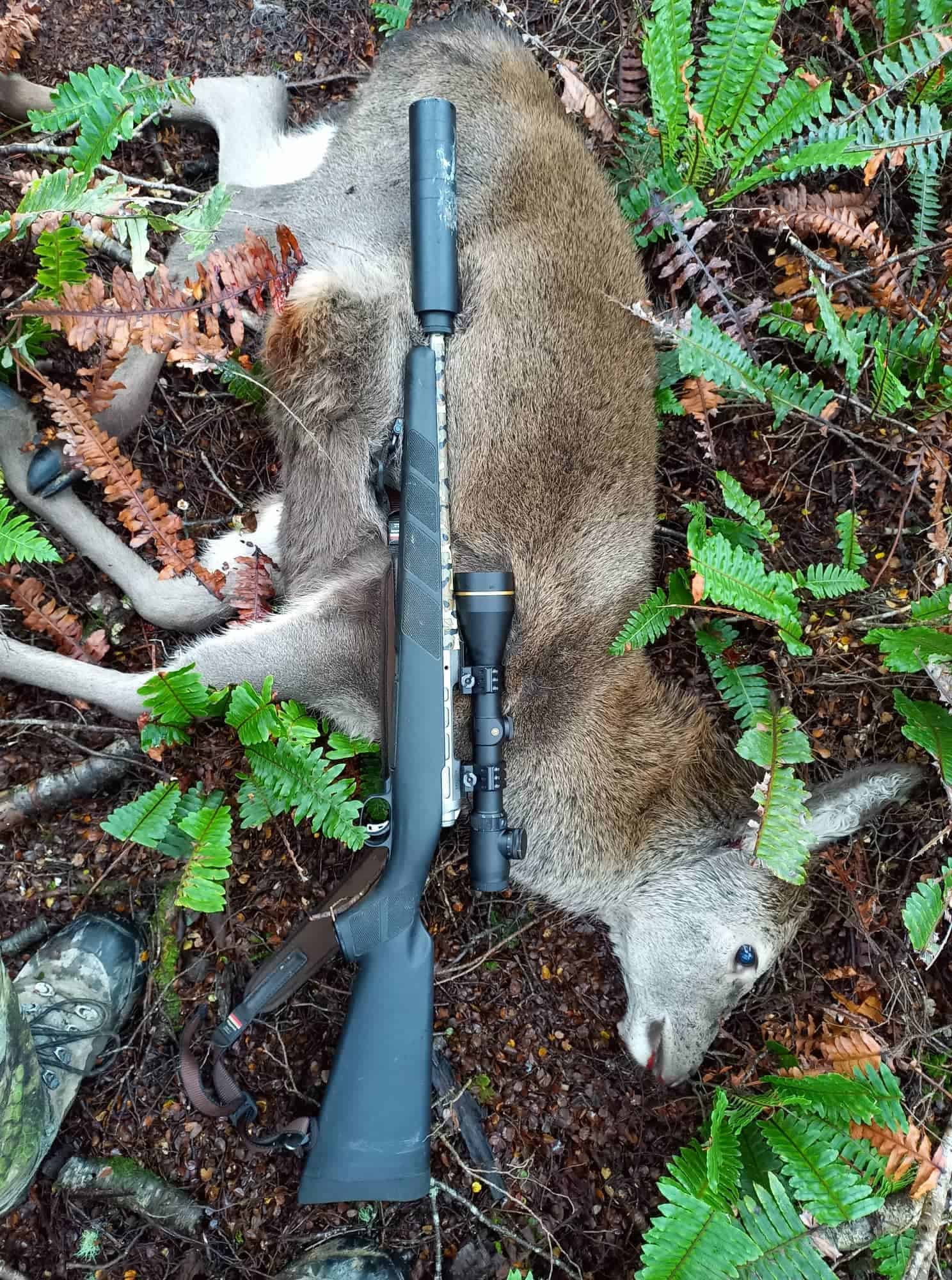 Hunting Food - Grow, gather, fish and hunt good food